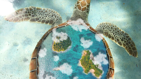 ArtStation - Turtle Island | Artworks