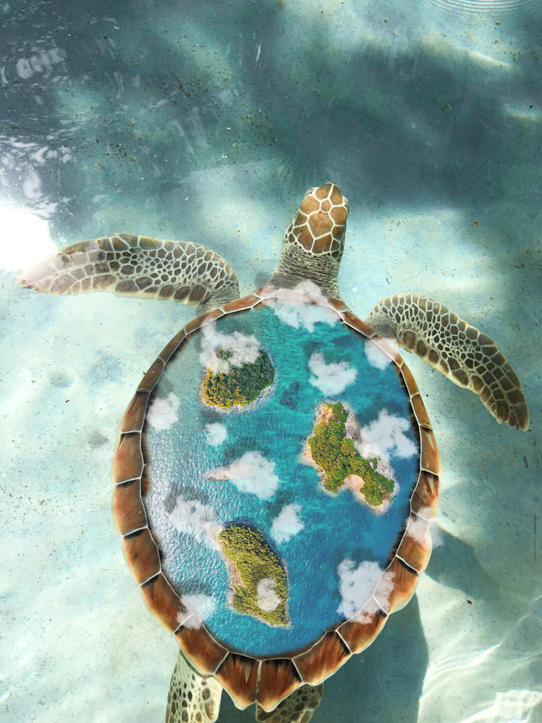 ArtStation - Turtle Island | Artworks