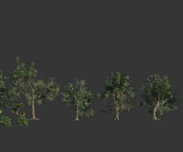 ArtStation - Tree package | Game Assets