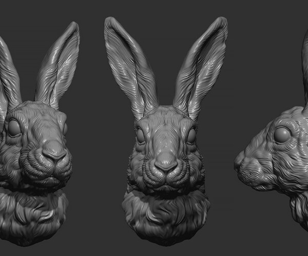 ArtStation - Hare head | Resources