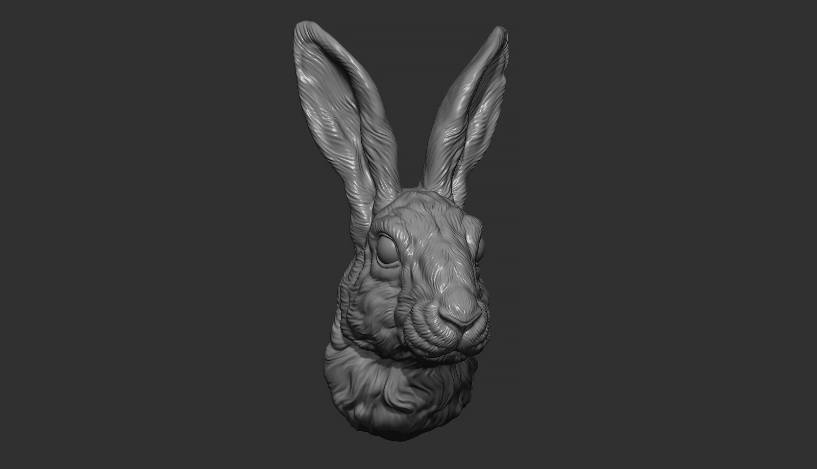 ArtStation - Hare head | Resources