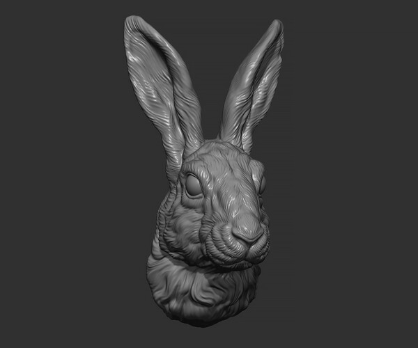 ArtStation - Hare head | Resources