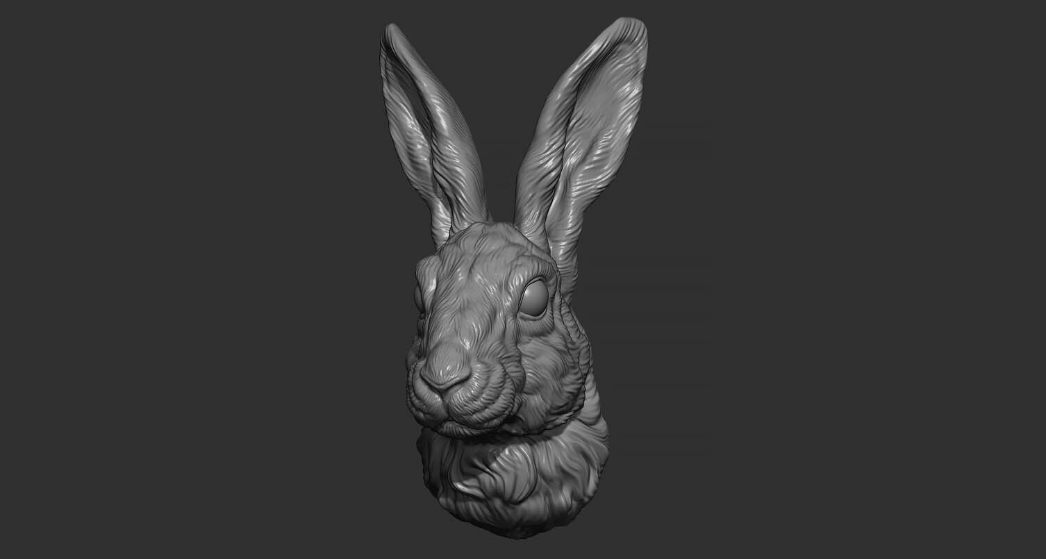 ArtStation - Hare head | Resources