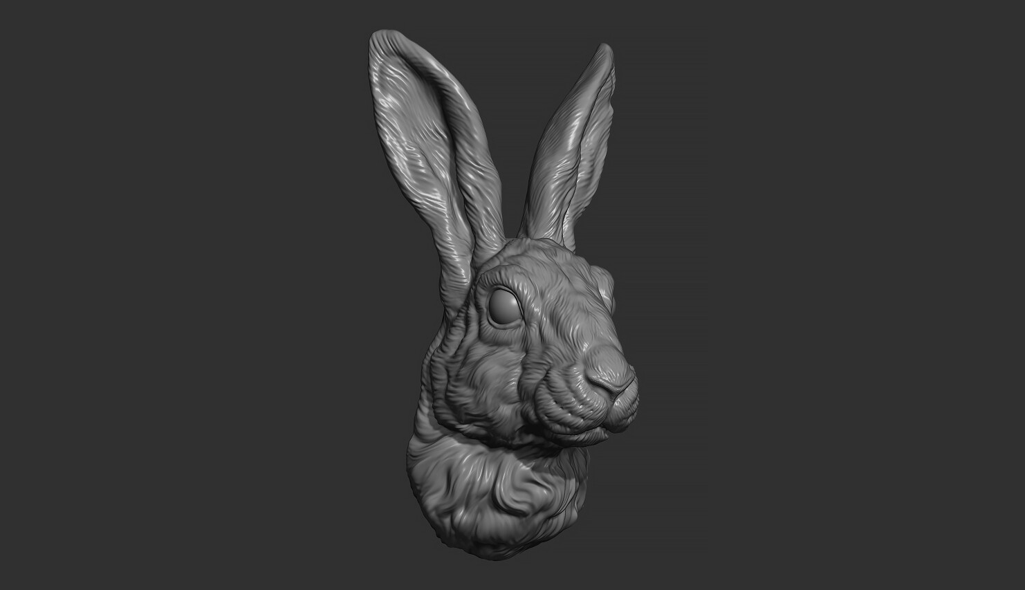 ArtStation - Hare head | Resources