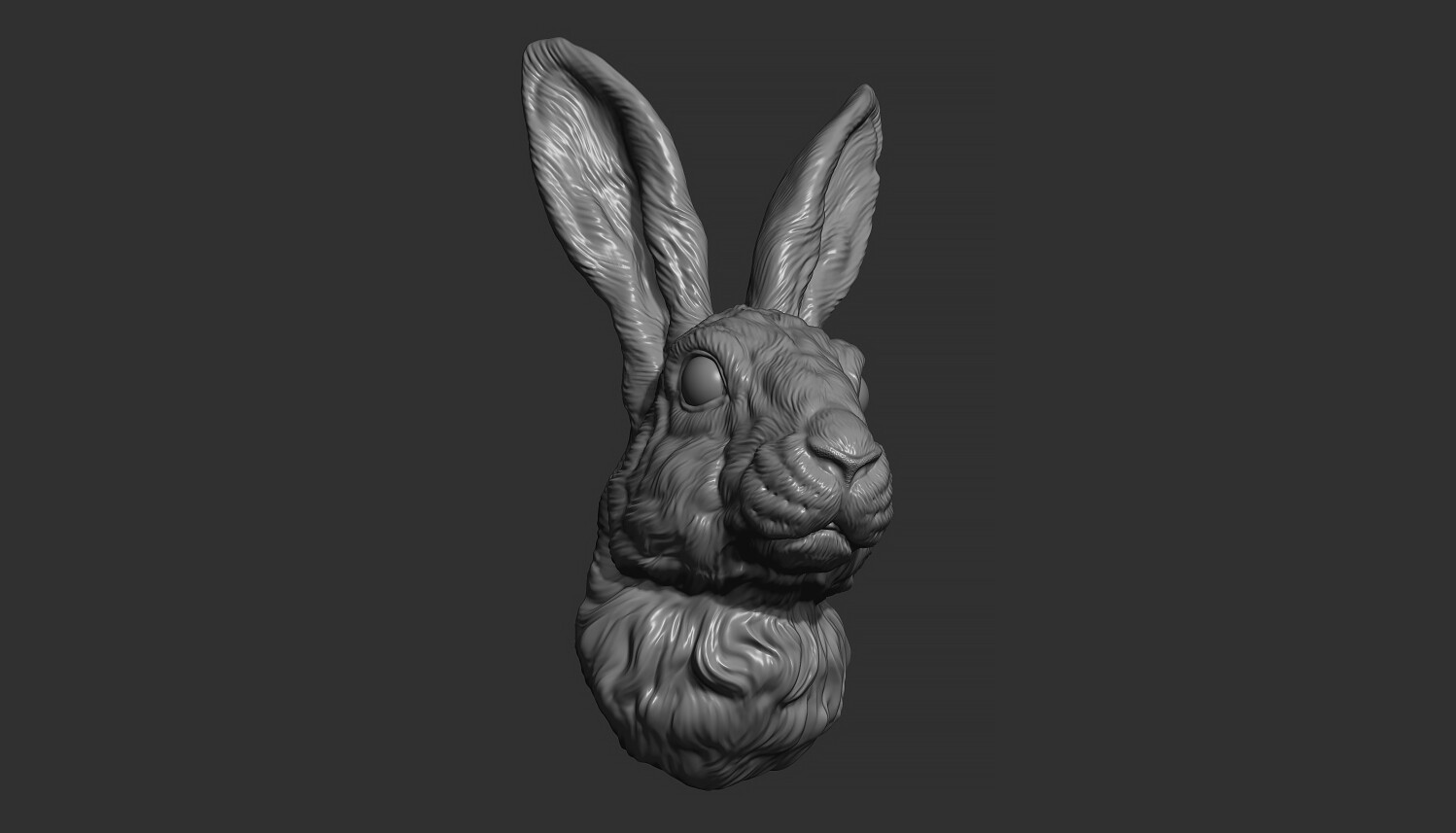 ArtStation - Hare head | Resources