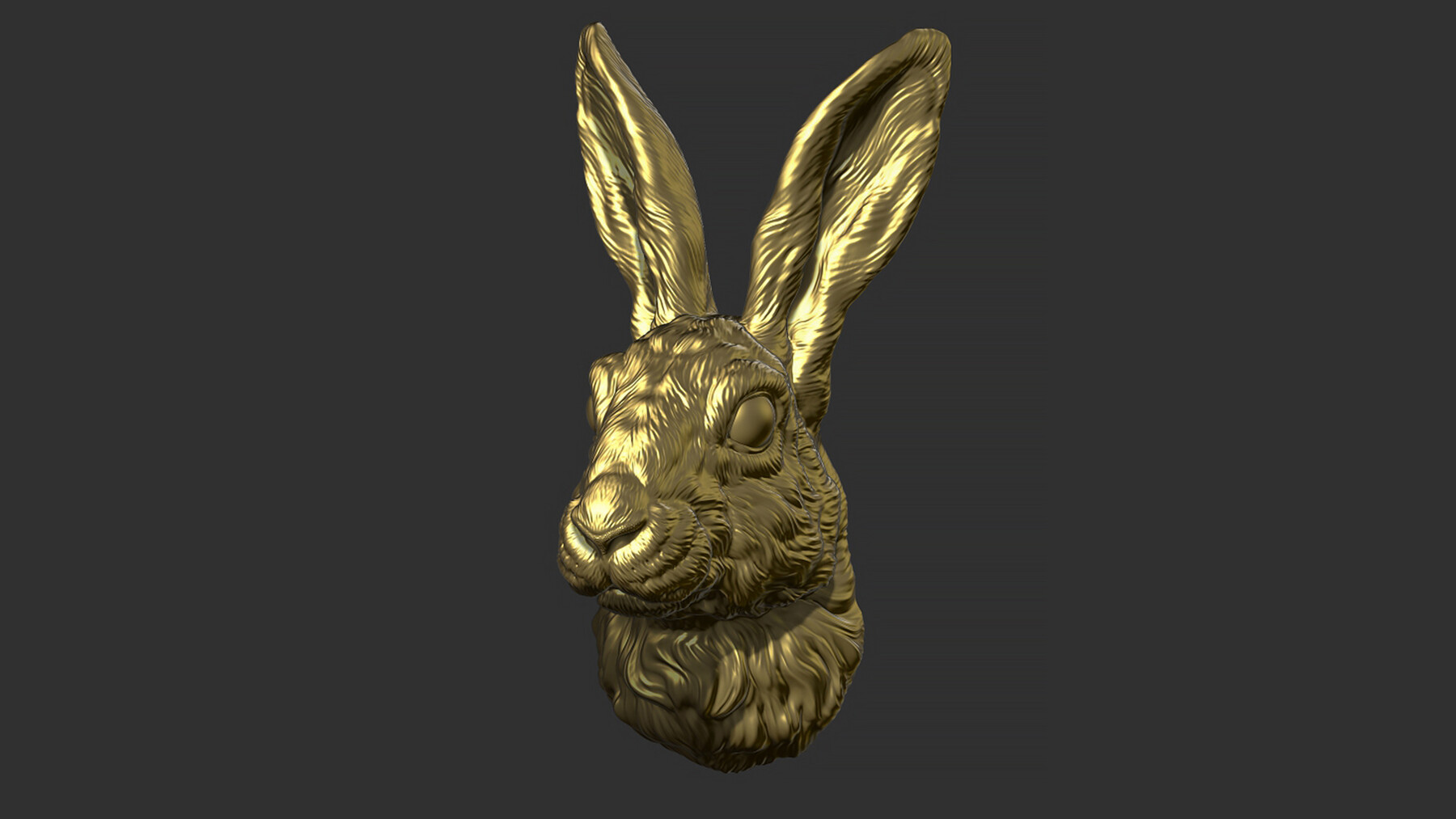 ArtStation - Hare head | Resources