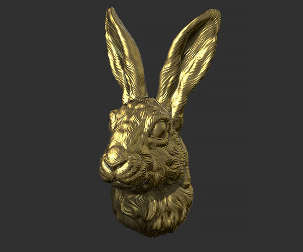 ArtStation - Hare head | Resources