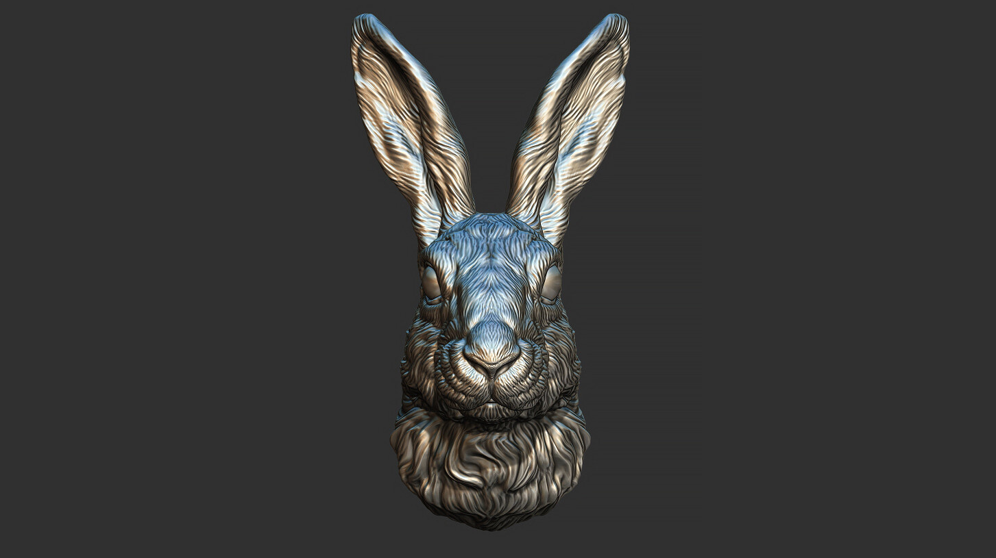 ArtStation - Hare head | Resources