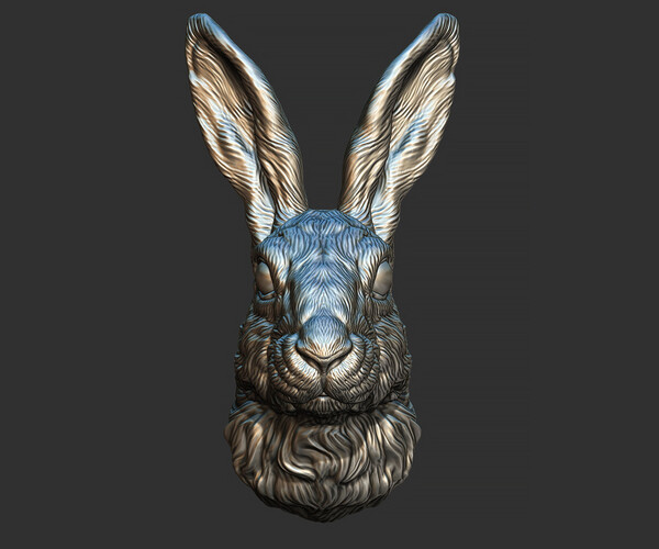 ArtStation - Hare head | Resources