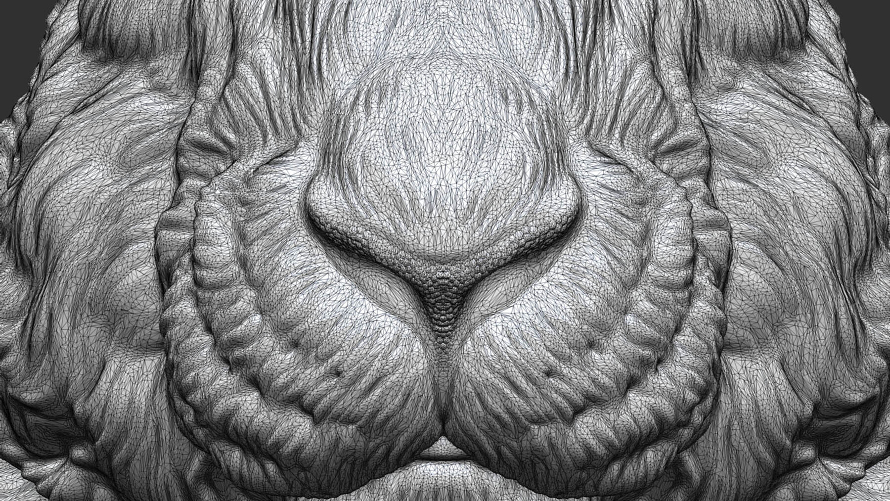 ArtStation - Hare head | Resources