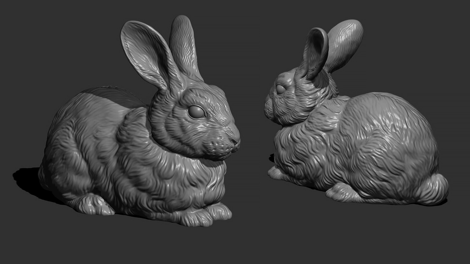 ArtStation - Rabbit | Resources