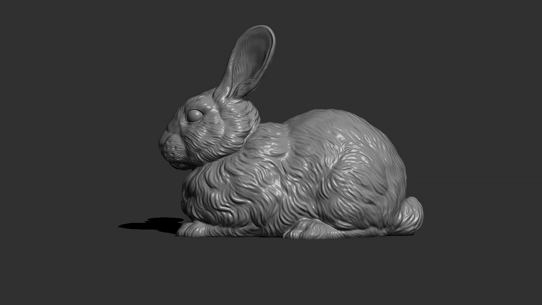 ArtStation - Rabbit | Resources