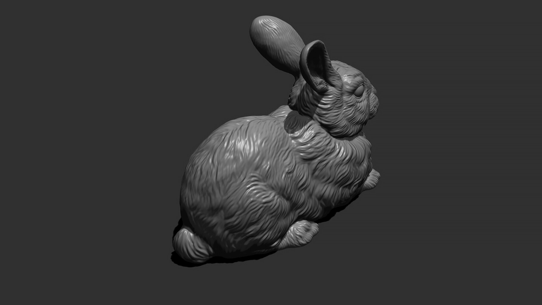 ArtStation - Rabbit | Resources