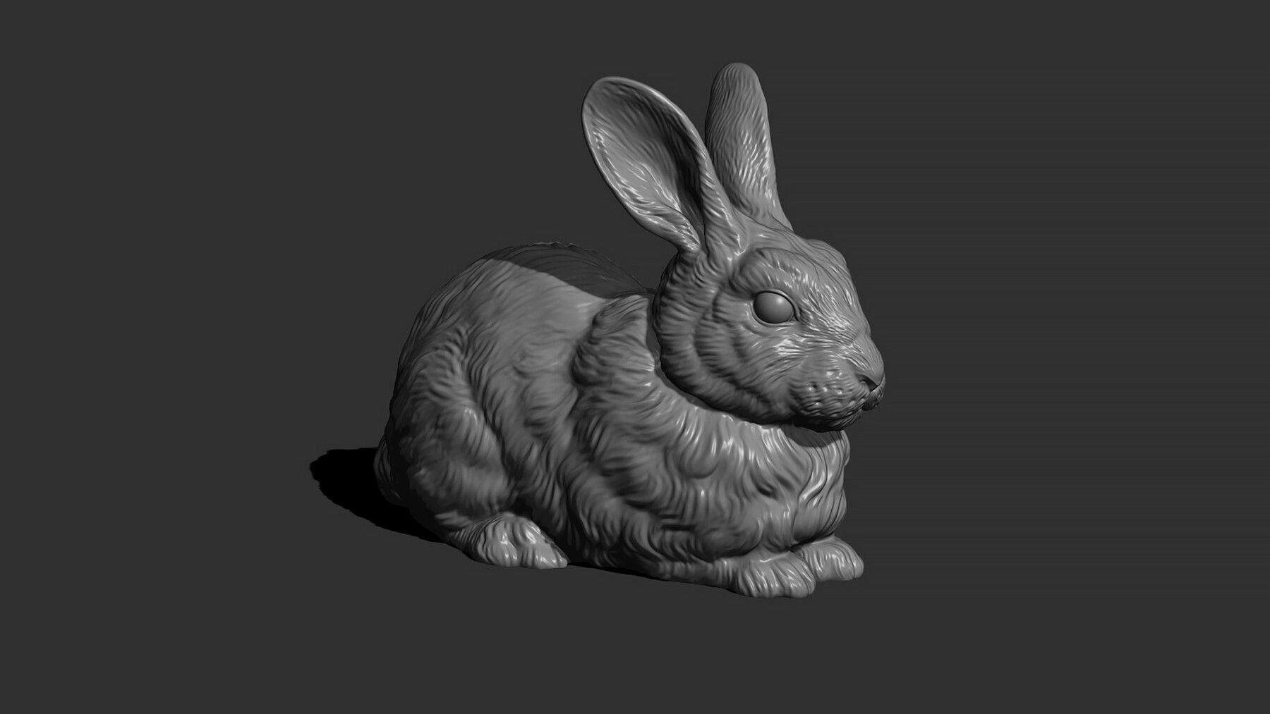 ArtStation - Rabbit | Resources