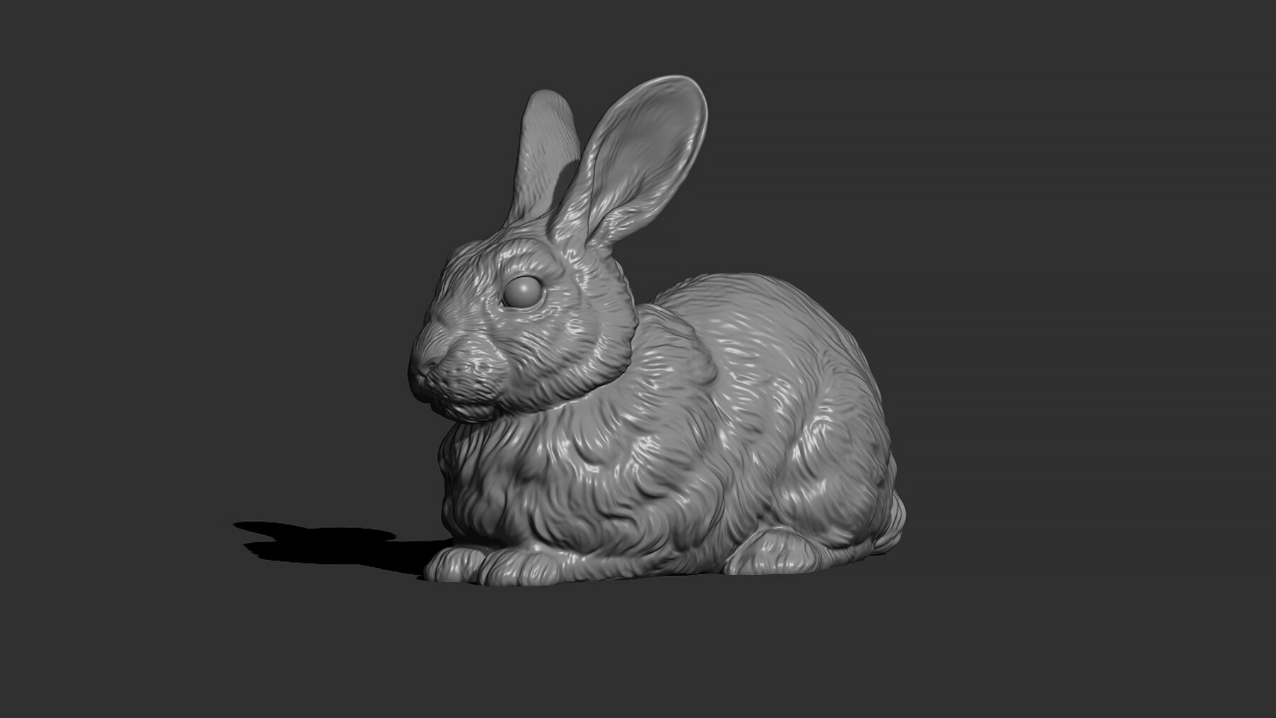 ArtStation - Rabbit | Resources
