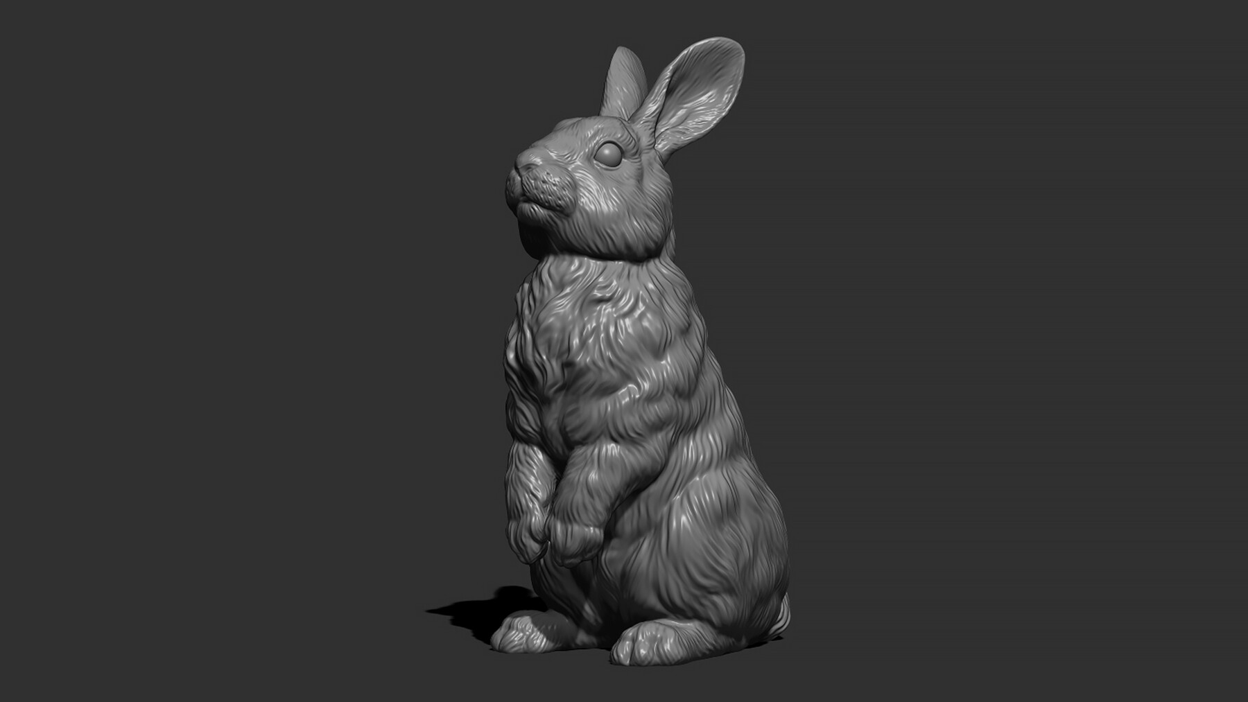 ArtStation - Rabbit bunny | Resources