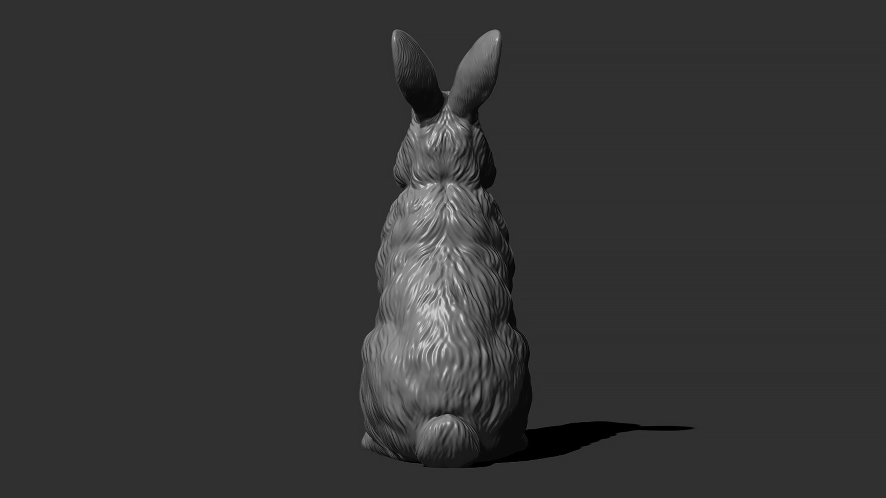 ArtStation - Rabbit bunny | Resources
