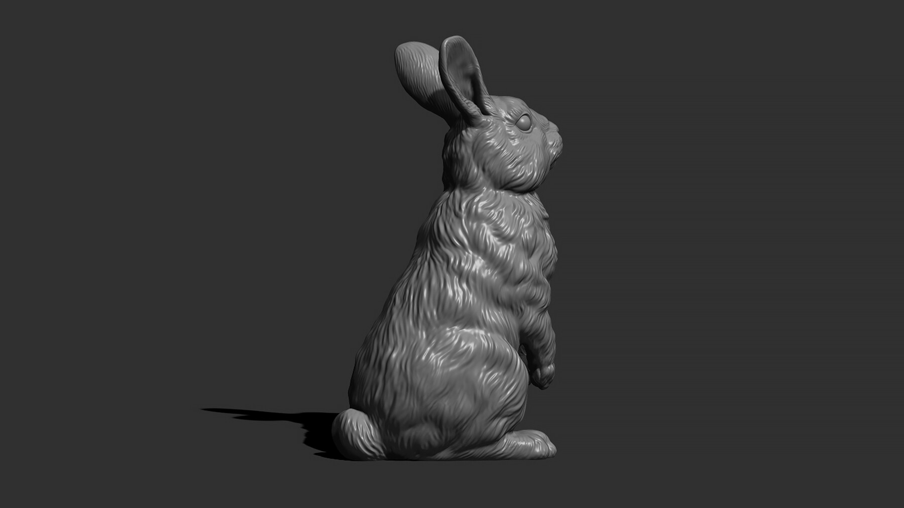 ArtStation - Rabbit bunny | Resources