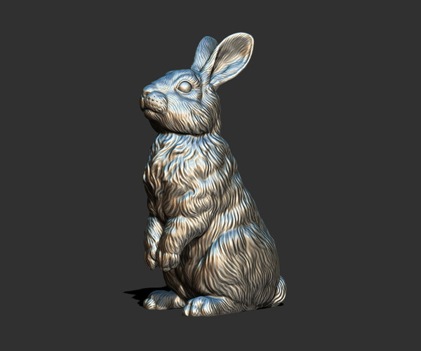 ArtStation - Rabbit bunny | Resources