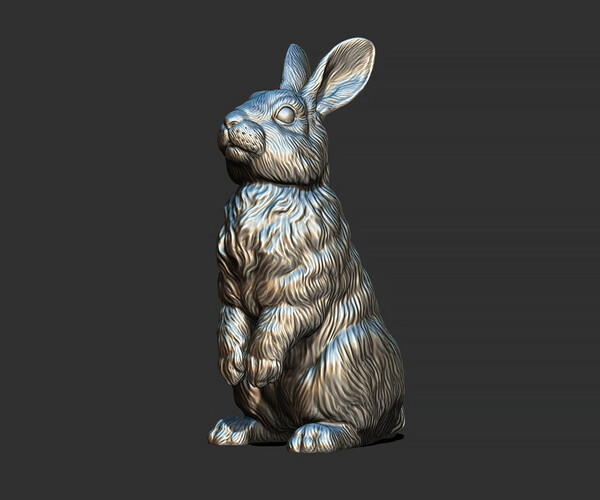 ArtStation - Rabbit bunny | Resources
