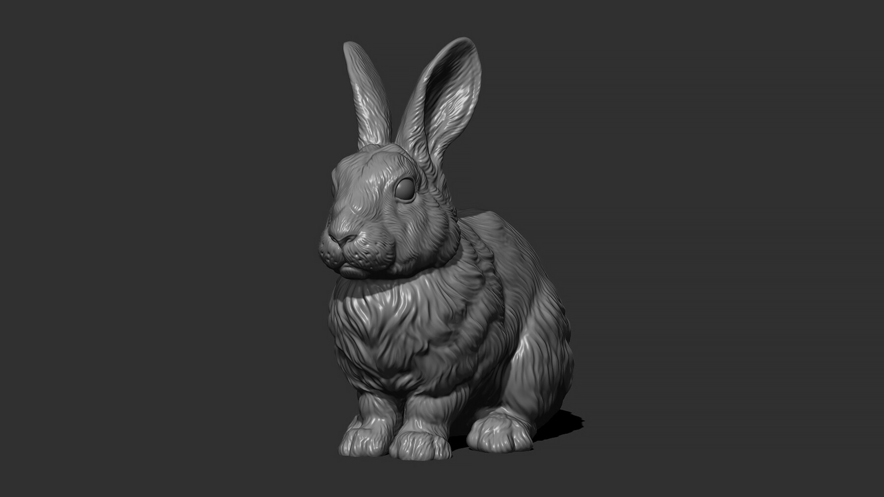 ArtStation - Bunny | Resources