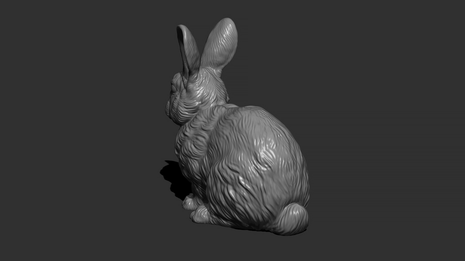 ArtStation - Bunny | Resources