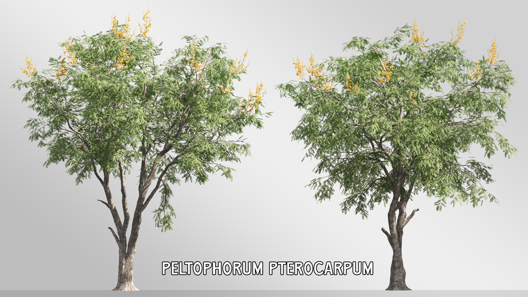 ArtStation - 4 Tree Set 3D Models _ Vol 02 | Resources