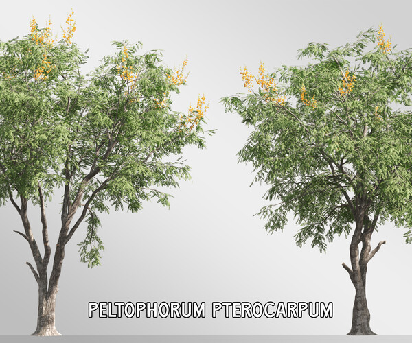 ArtStation - 4 Tree Set 3D Models _ Vol 02 | Resources