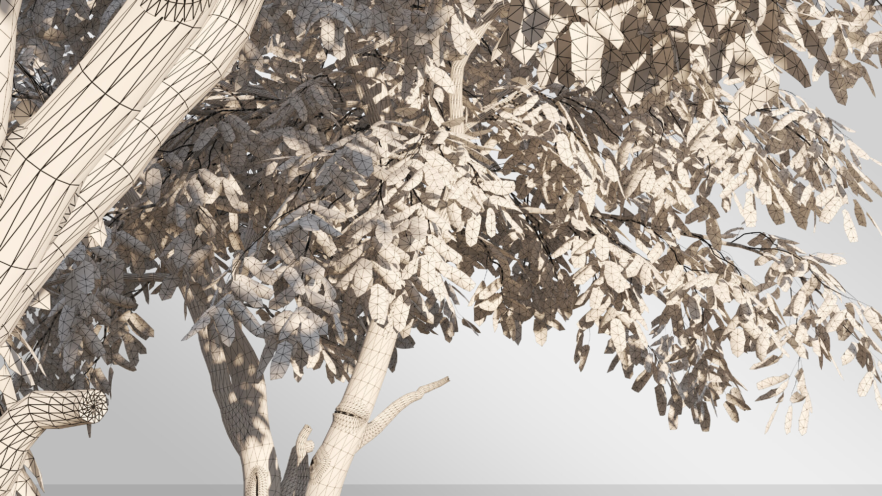 ArtStation - 4 Tree Set 3D Models _ Vol 02 | Resources