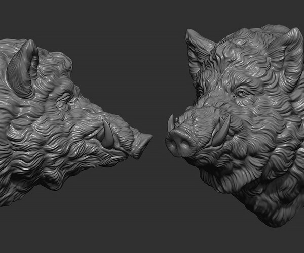 ArtStation - Wild boar head | Resources
