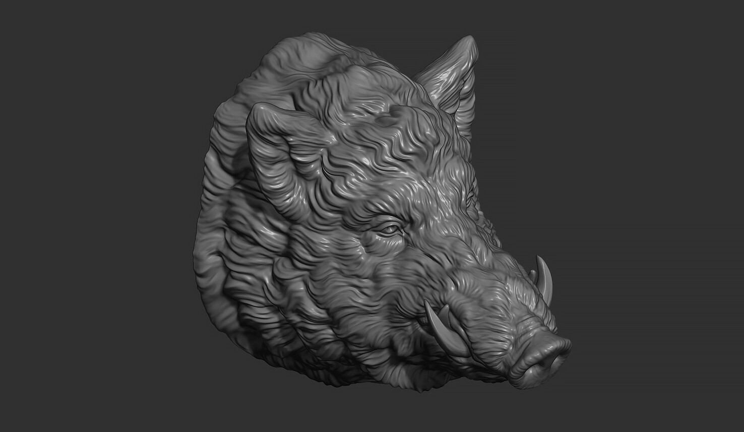 ArtStation - Wild boar head | Resources