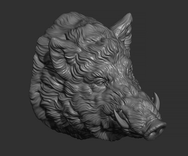 ArtStation - Wild boar head | Resources