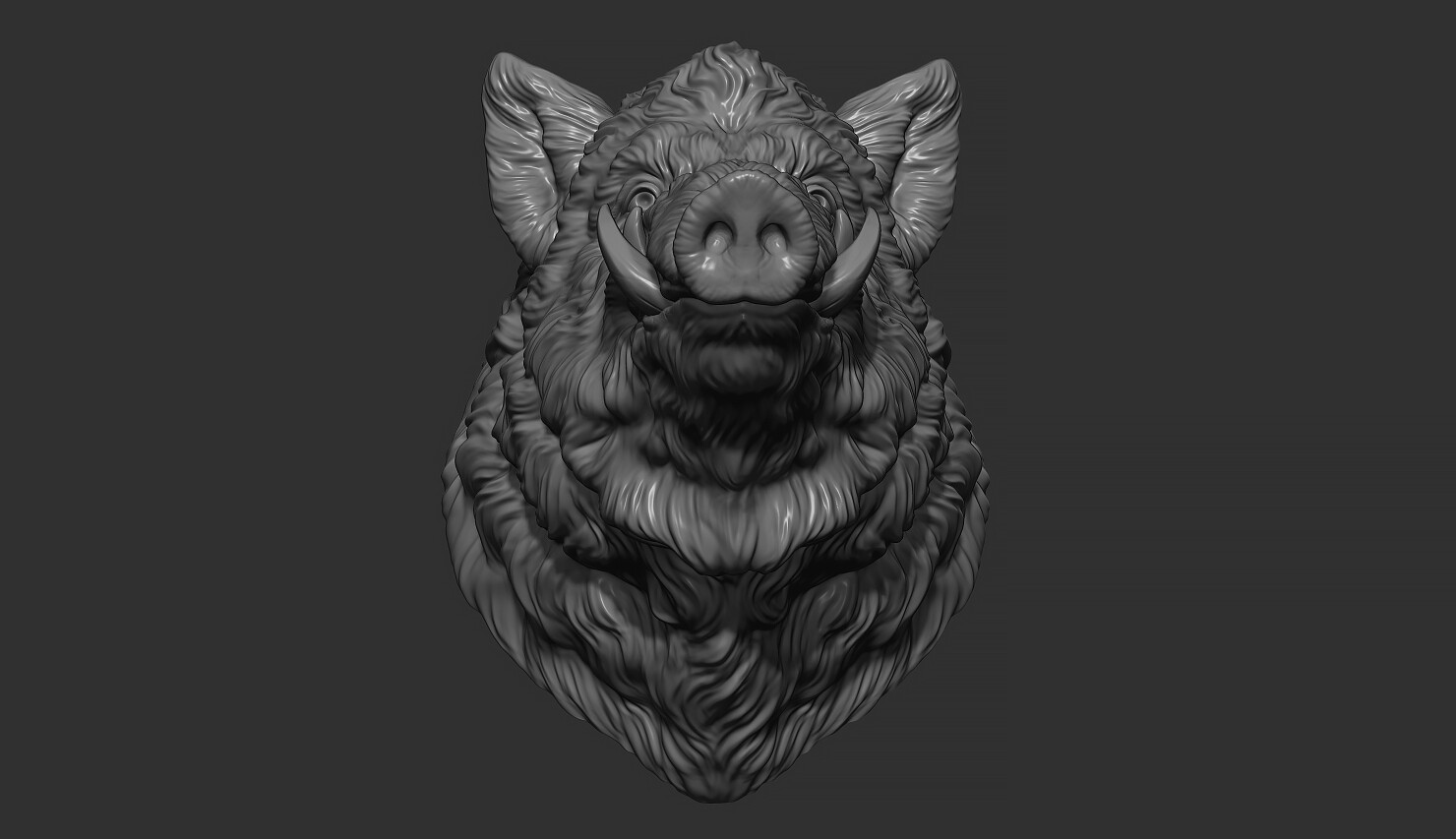 ArtStation - Wild boar head | Resources
