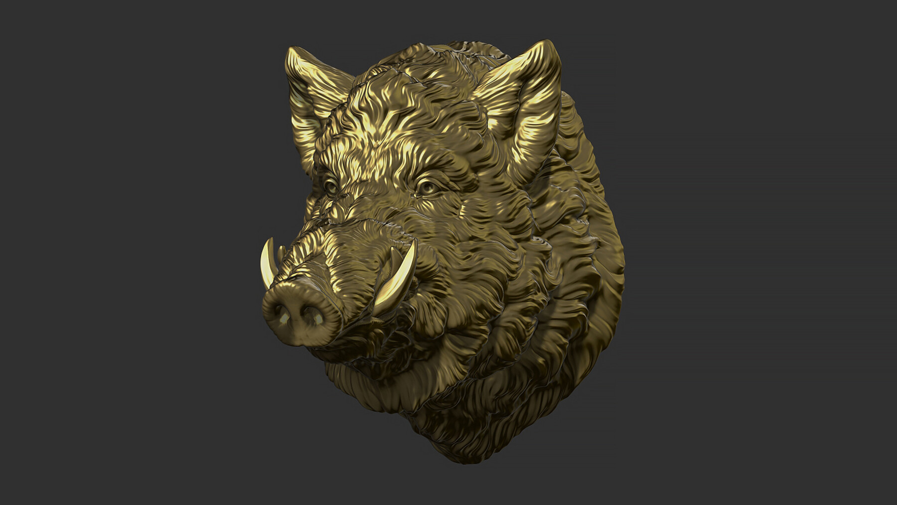 ArtStation - Wild boar head | Resources