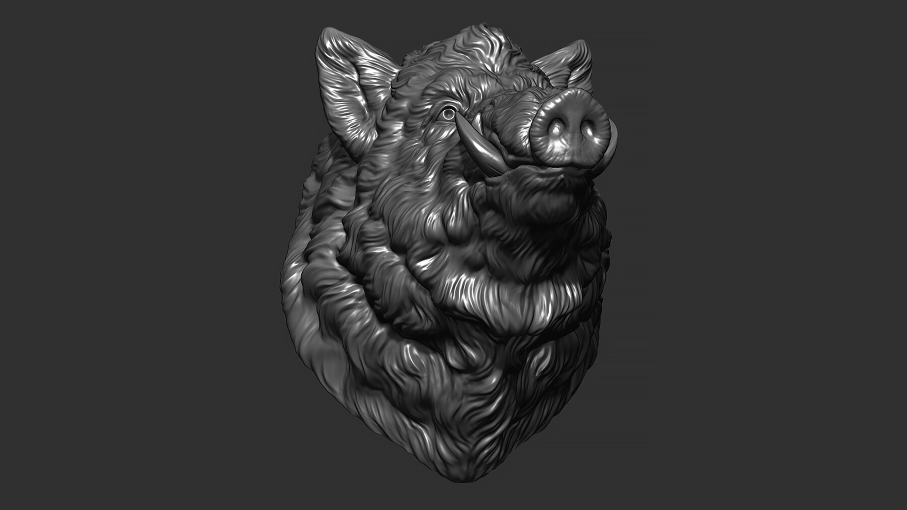 ArtStation - Wild boar head | Resources