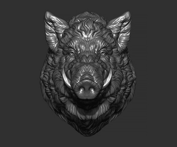 ArtStation - Wild boar head | Resources