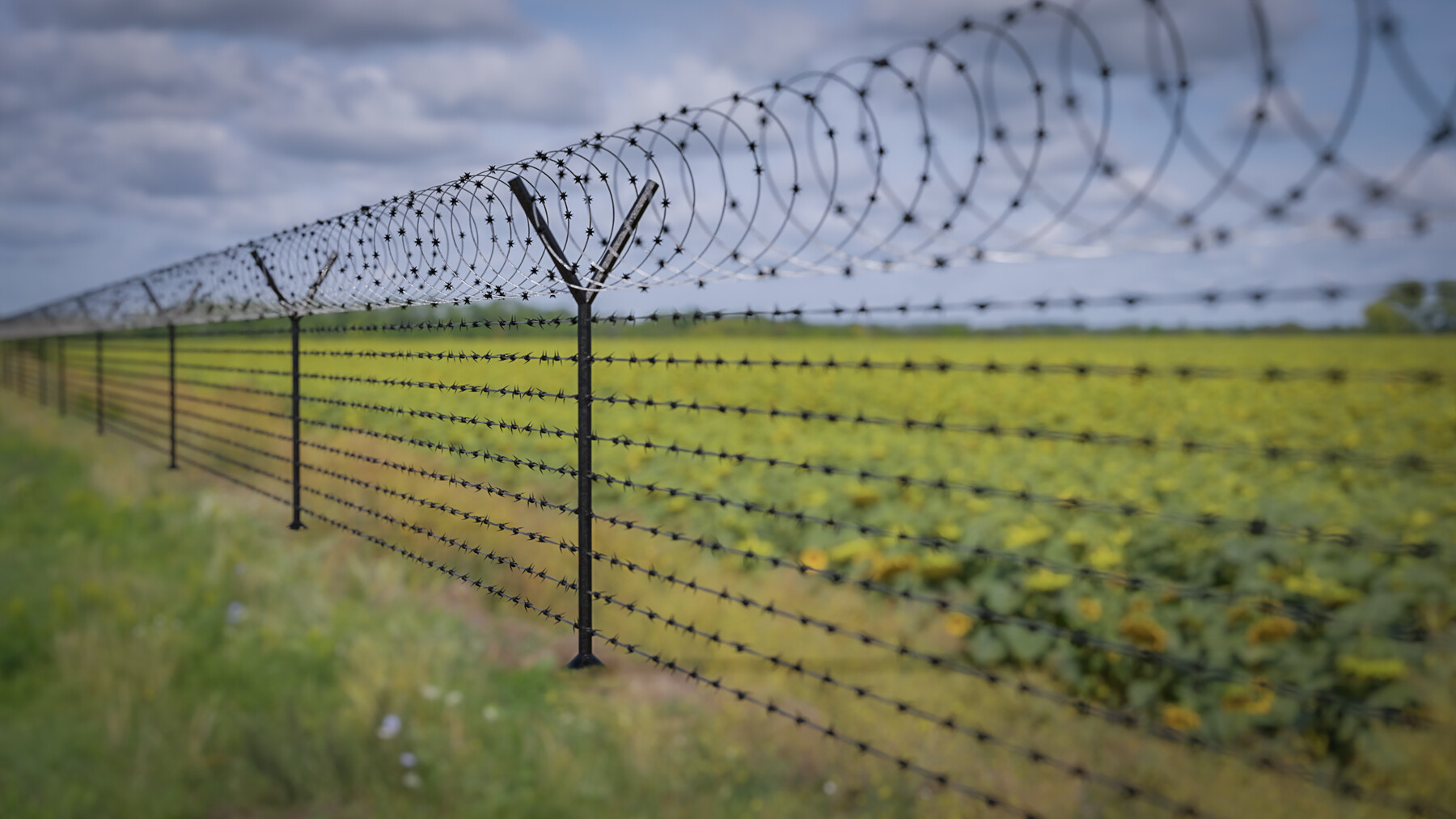 ArtStation - Procedural Barbed Wire Fence | Game Assets