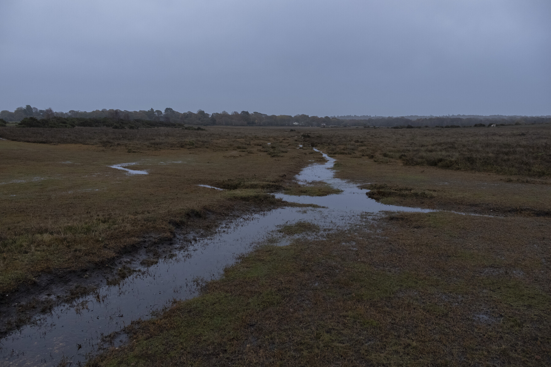 ArtStation - Nature References | Resources