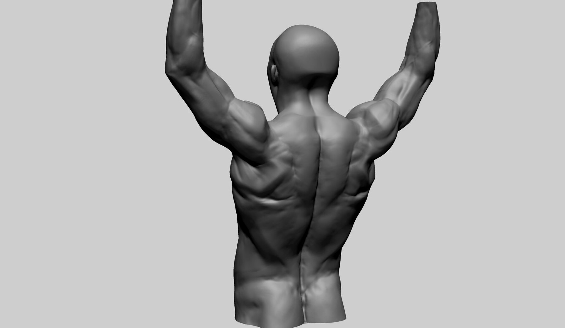 ArtStation - Male Upper Body Printable | Resources
