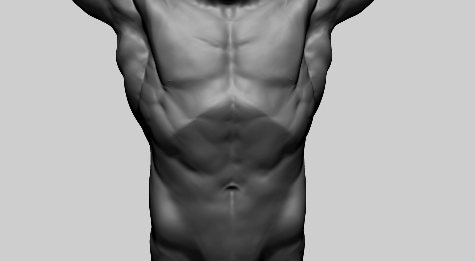 ArtStation - Male Upper Body Printable | Resources