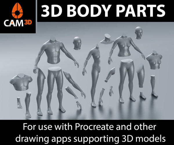 ArtStation - Body Parts - 3D collection of body parts for Tattoo ...