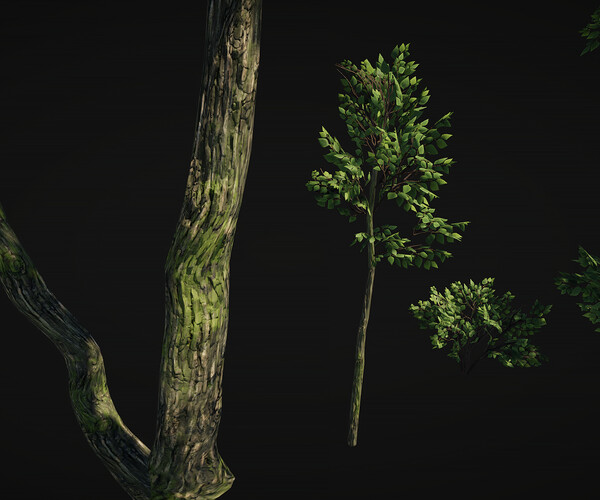 ArtStation - Stylized Birch Trees | Game Assets