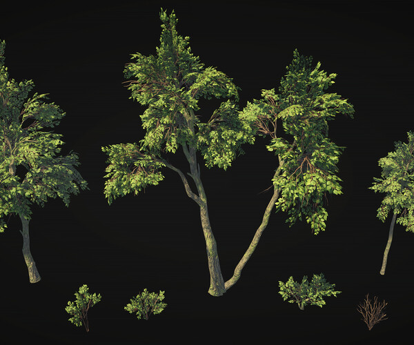 ArtStation - Stylized Birch Trees | Game Assets
