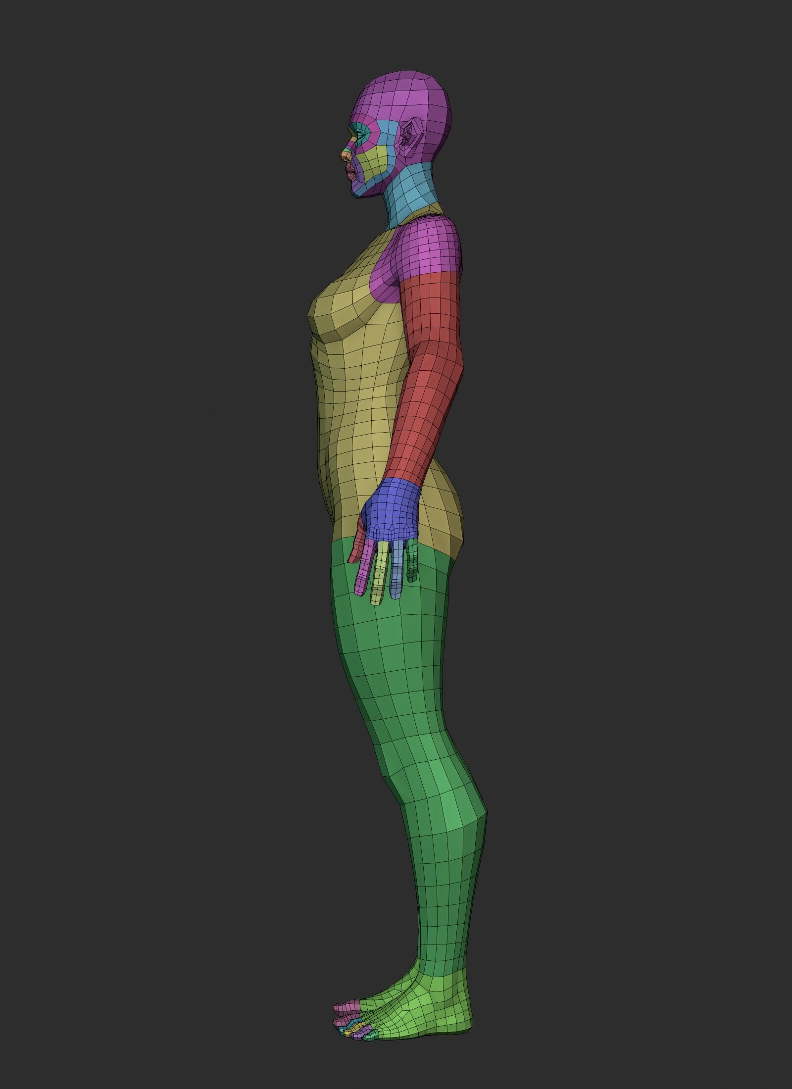 ArtStation - Stylized Lowpoly Female Basemesh | Resources