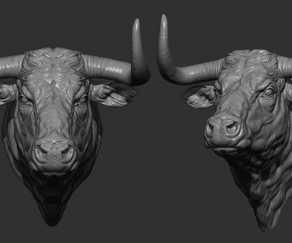 ArtStation - Bull head | Resources
