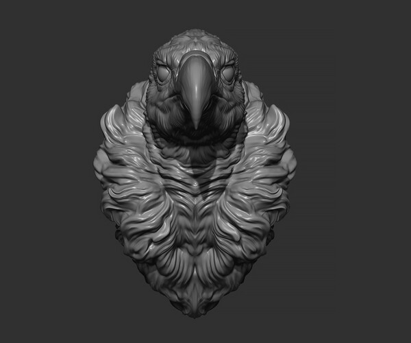 ArtStation - Vulture head | Resources