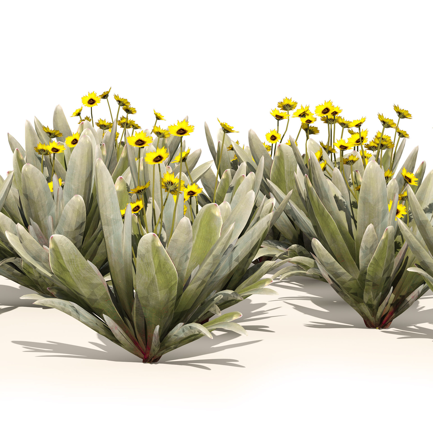 ArtStation - frailejon flower cluster | Resources