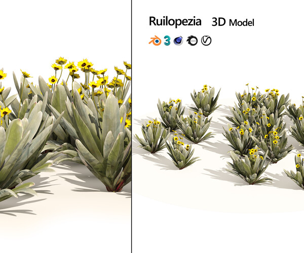 ArtStation - frailejon flower cluster | Resources