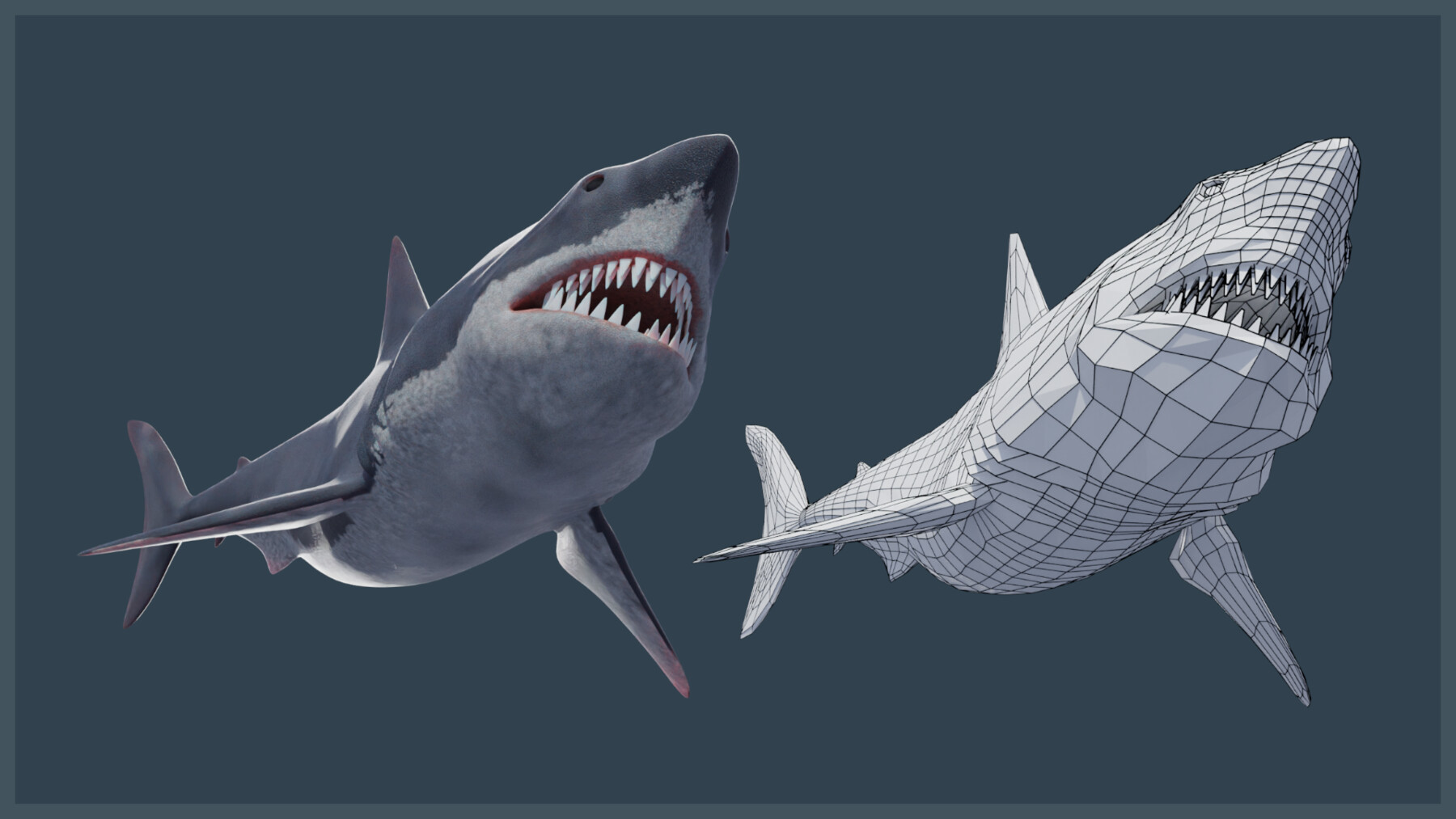 ArtStation - Great White Shark | Game Assets