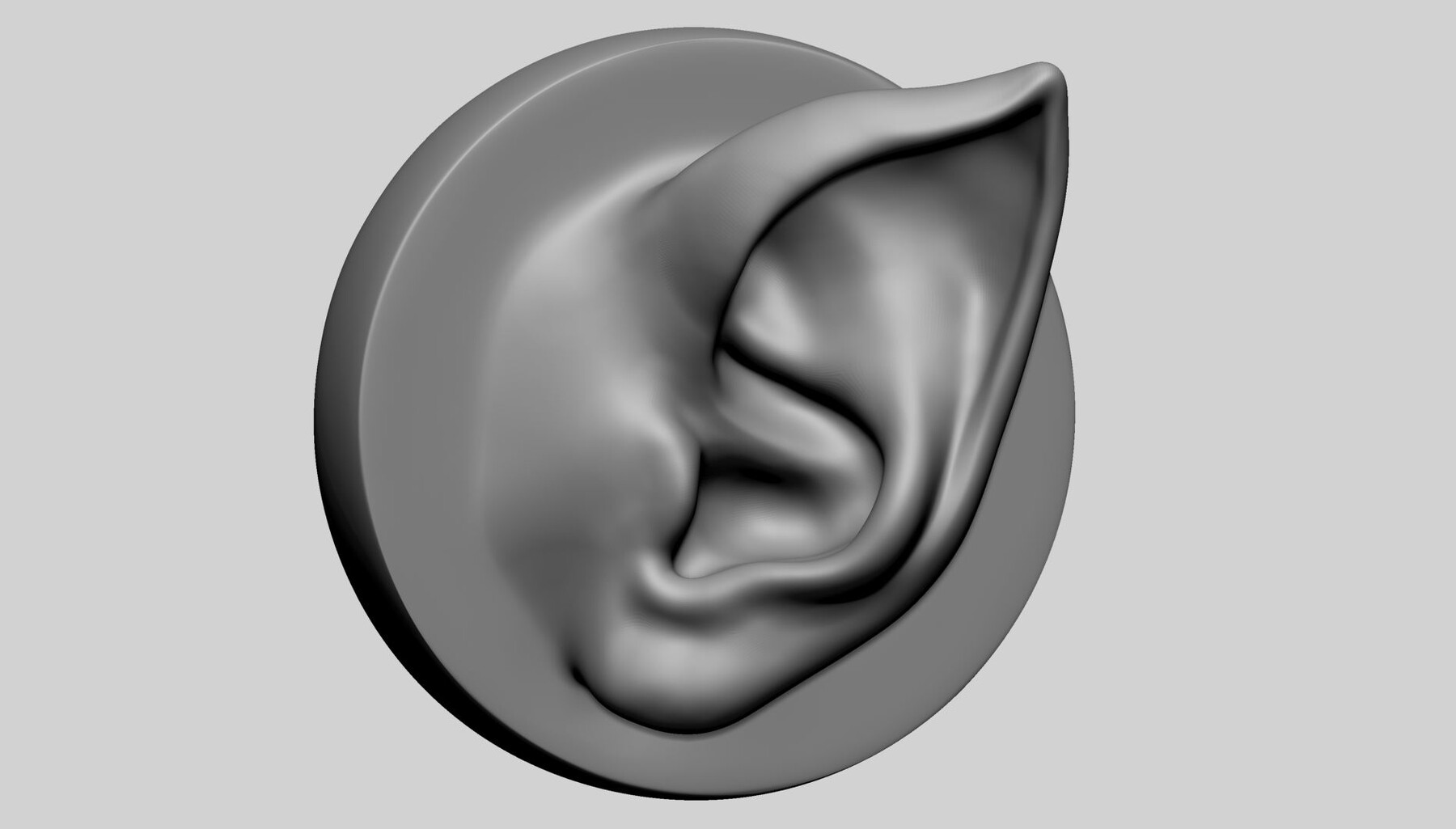 ArtStation - Ear Model with Different Types | Resources